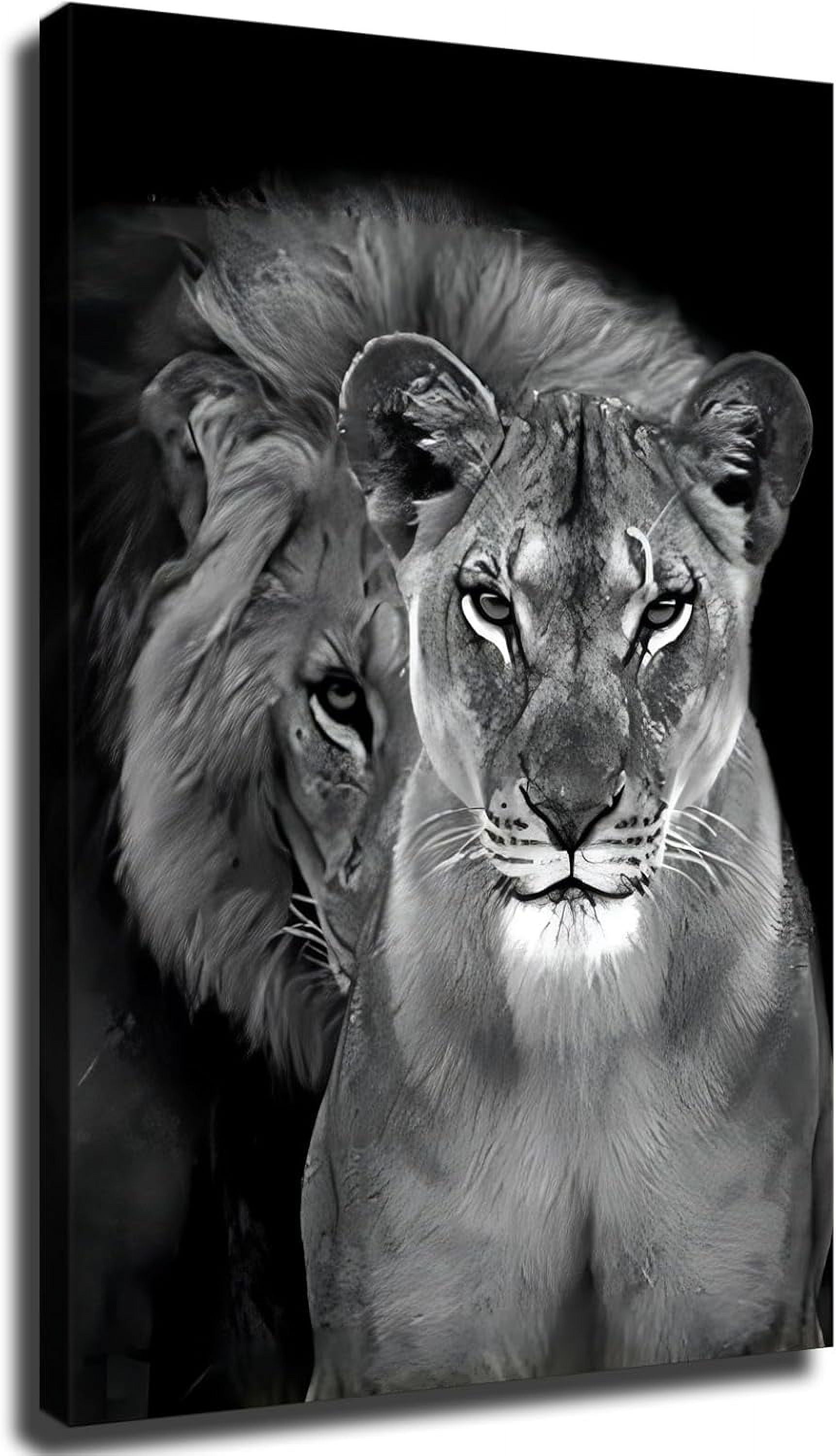 ASPORIC Lion and Lioness Wall Art Picture Black and White Animal Male ...