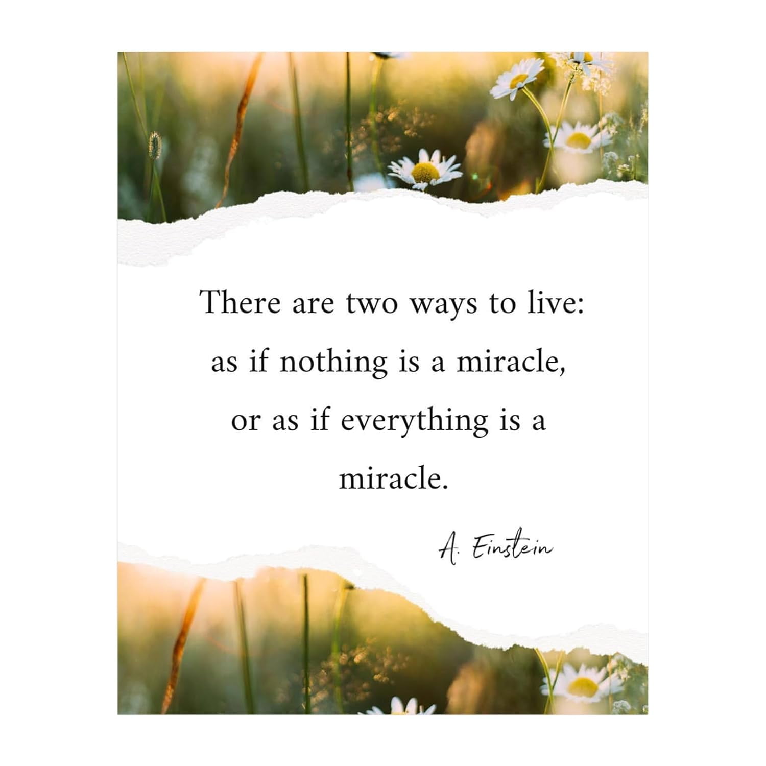 ASPORIC "Live As If Everything Is a Miracle" Motivational Quotes Wall ...