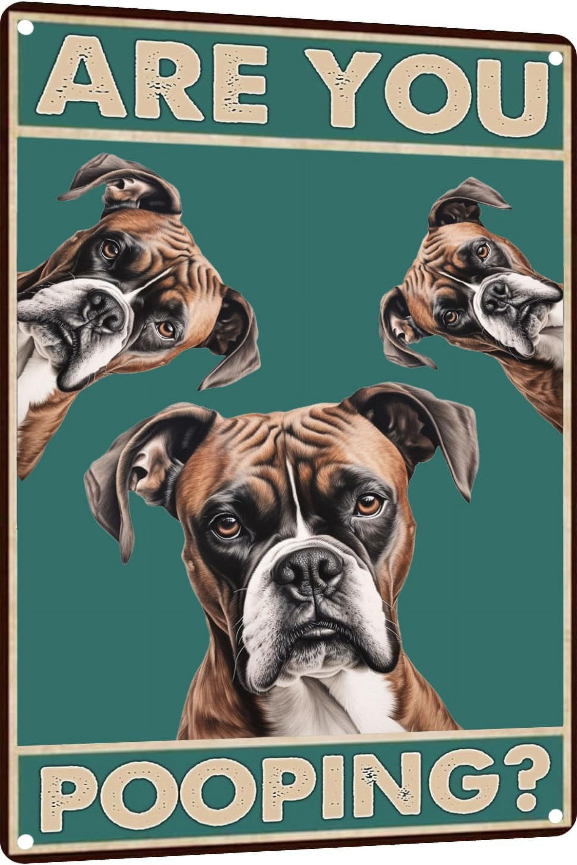 ASPORIC Metal Sign Dog Boxer Are You Pooping Sign Vintage Funny Sign ...