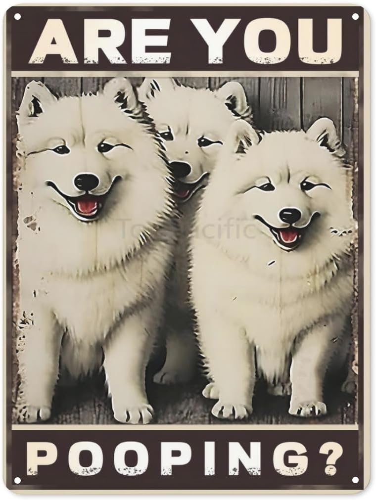 ASPORIC Metal Tin Signs Samoyed "Are You Pooping?" Funny Tin Signs ...