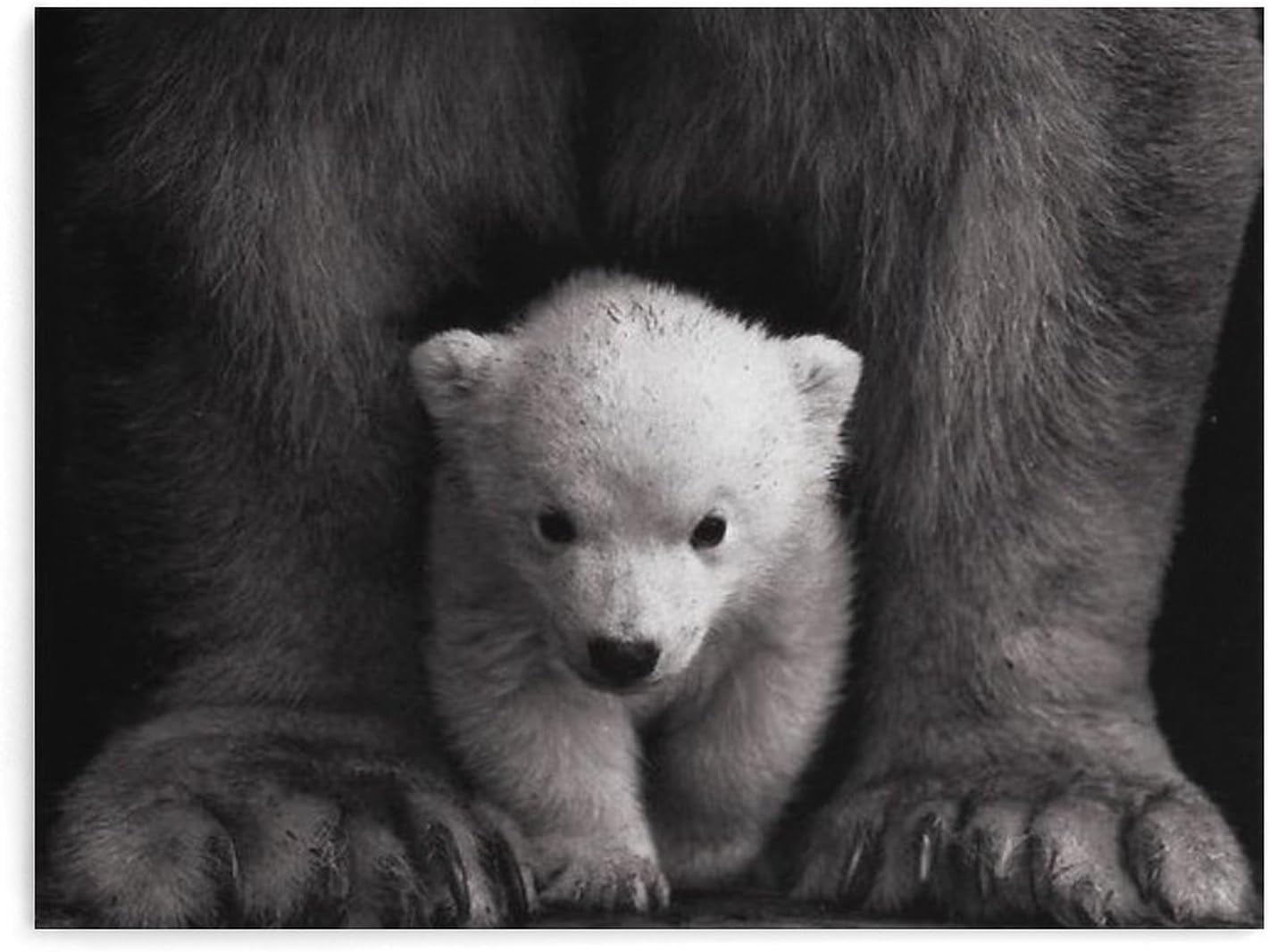 ASPORIC Poster Retro Black And White Animal Print Poster Home ...