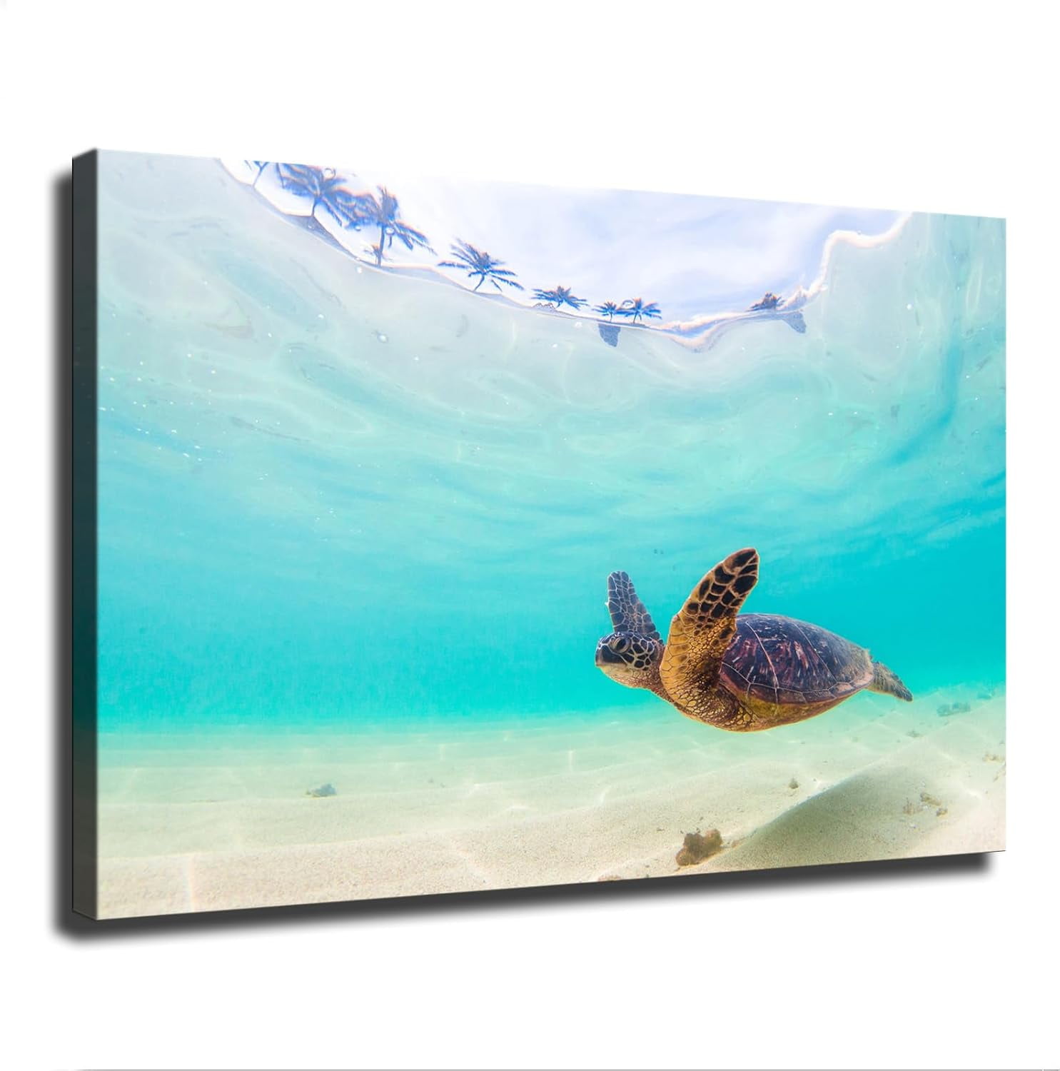ASPORIC Sea Turtle Underwater Animal Poster Painting Canvas Art Print ...