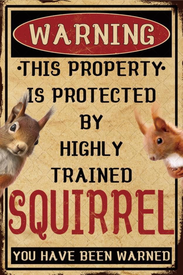 ASPORIC Squirrel Sign Funny Vintage Metal Tin Sign Squirrel Gifts for ...