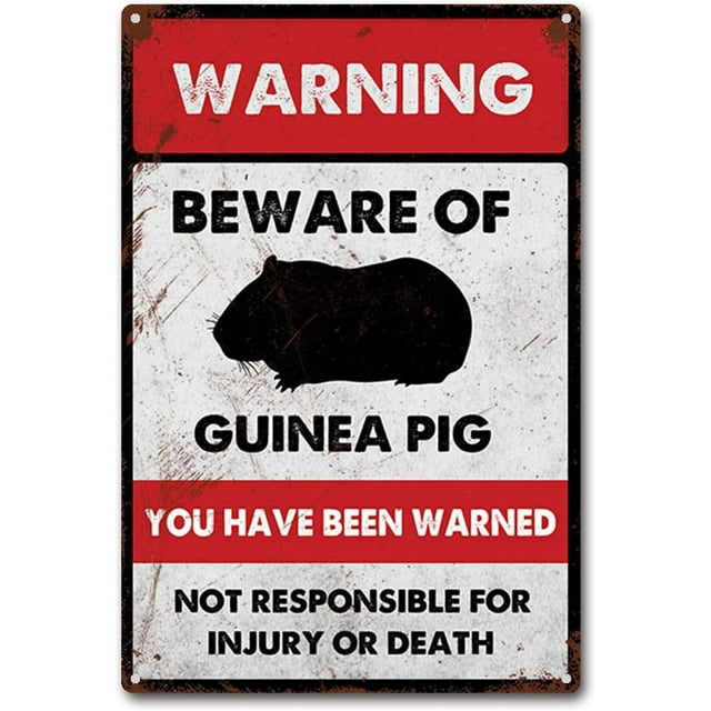 ASPORIC Tin Sign Beware of Guinea Pig Room Man Cave Art Decorations ...