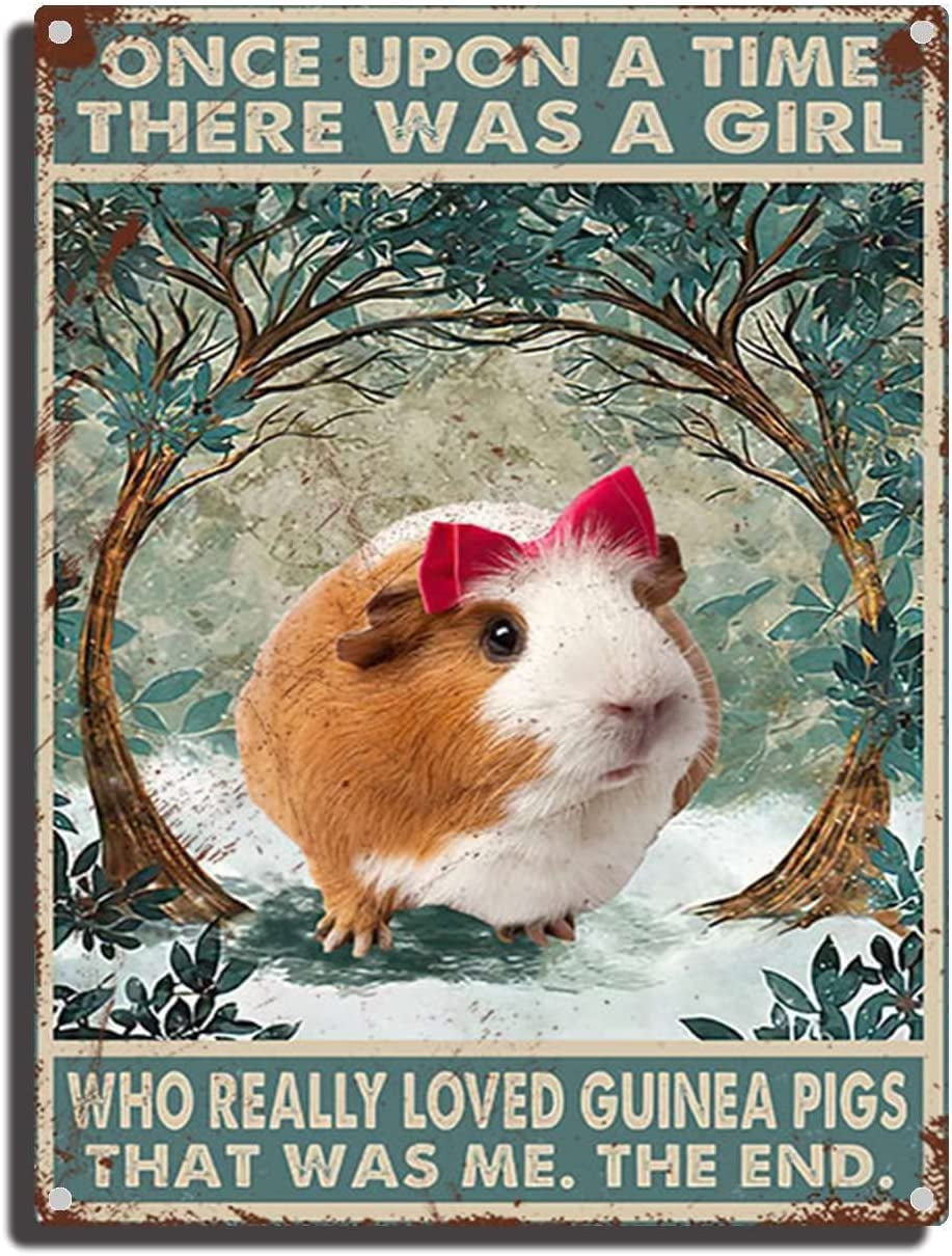 ASPORIC Tin Sign Once Upon A Time There was A Girl Who Really Loved ...