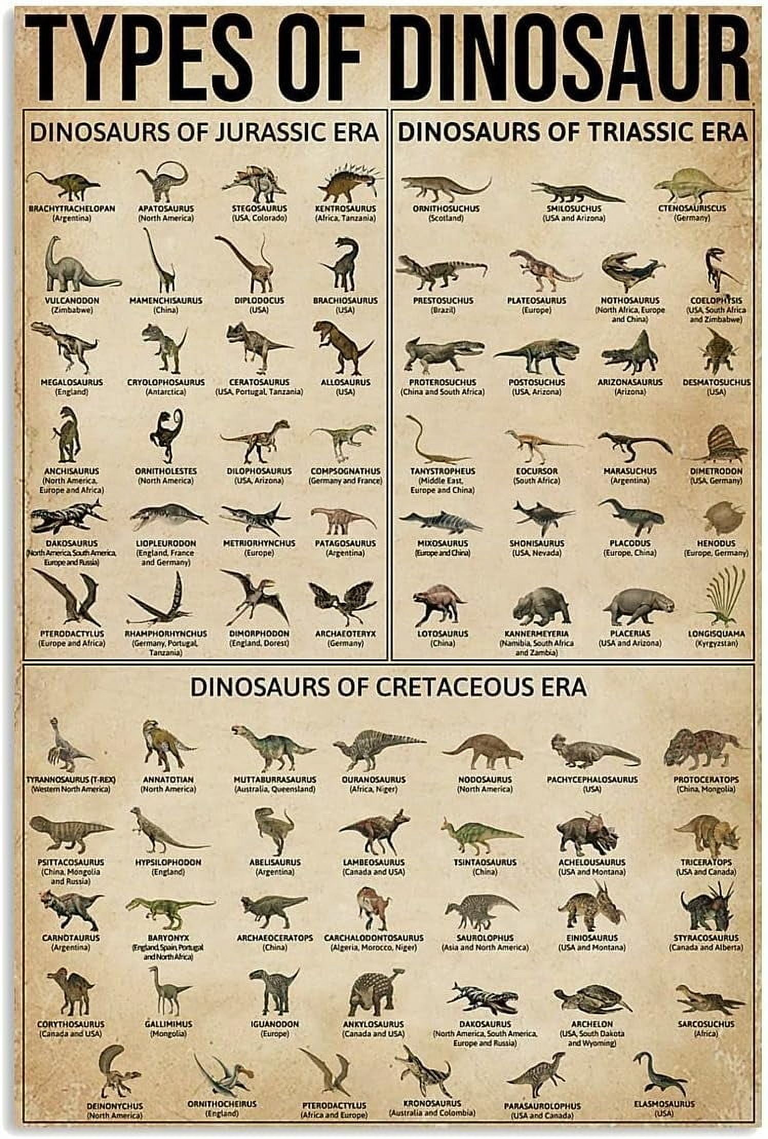 ASPORIC Types Of Art Poster Prints 2 (Types Of Ants Vertical Art Poster ...