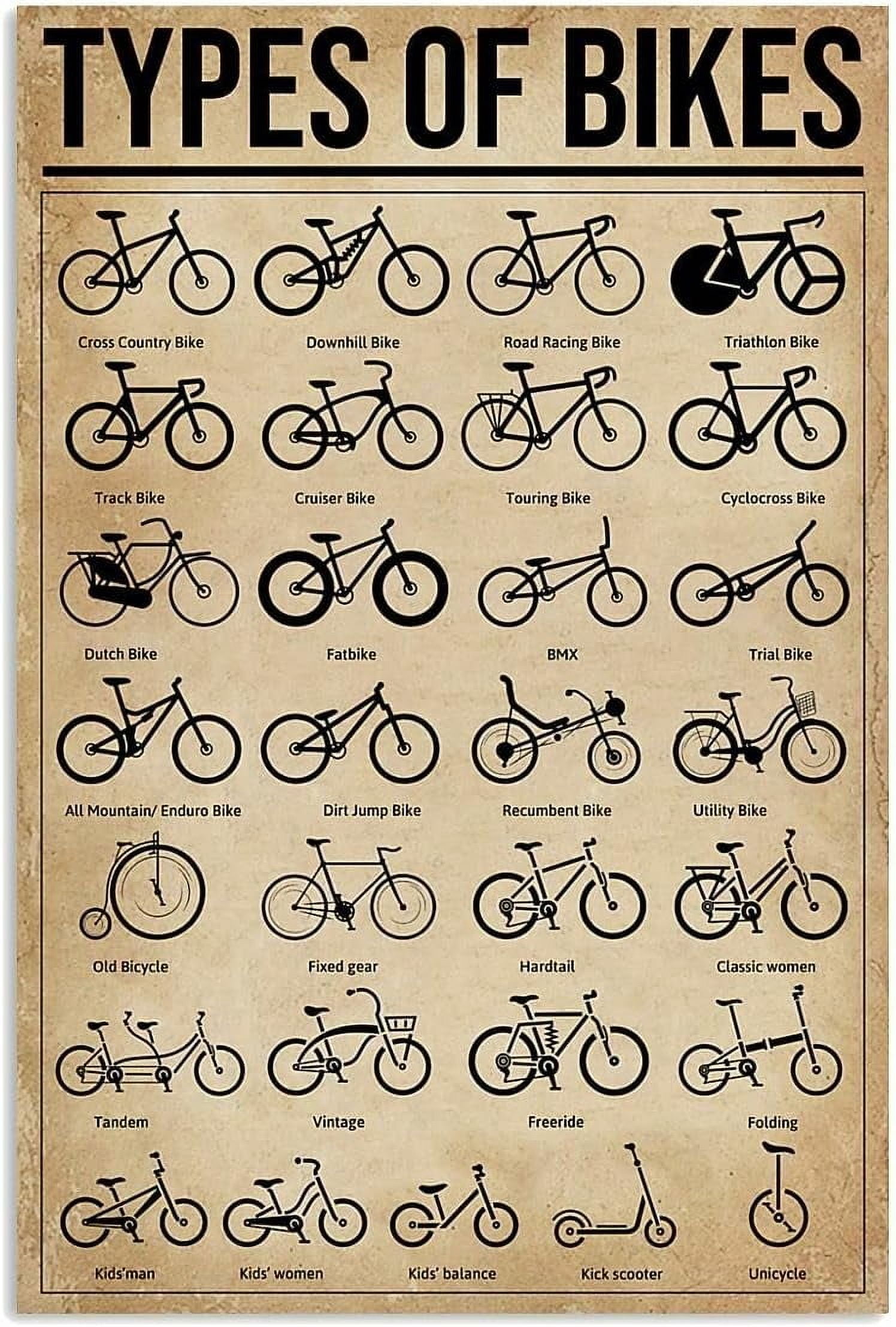ASPORIC Types Of Art Poster Prints 2 (Types Of Ants Vertical Art Poster ...