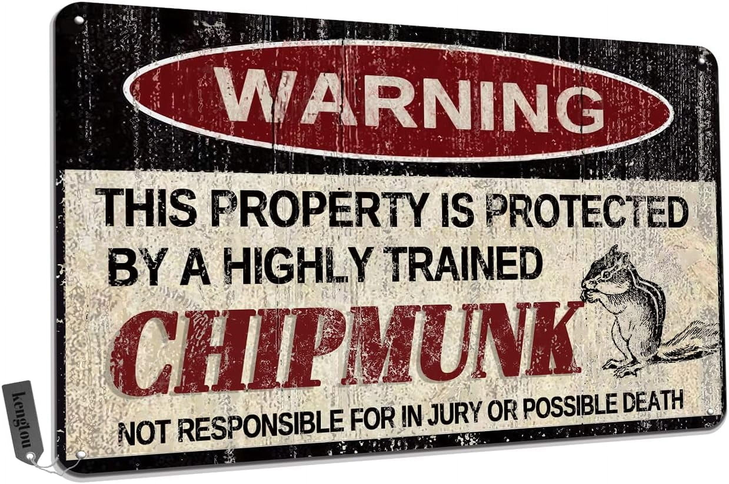 ASPORIC Vintage Chipmunk Metal Sign Warning This Property is Protected ...