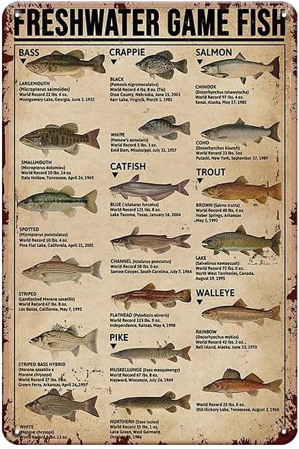 ASPORIC Vintage Fishing Wall Decor Sign - FreshWater Game Fish, Metal ...