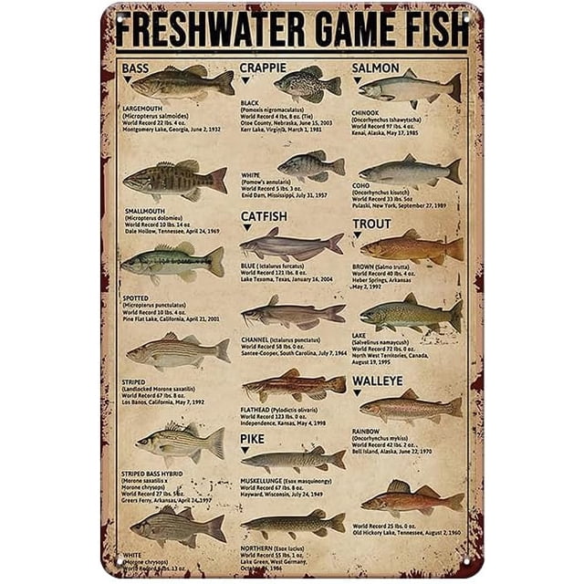 ASPORIC Vintage Fishing Wall Decor Sign - FreshWater Game Fish, Metal ...