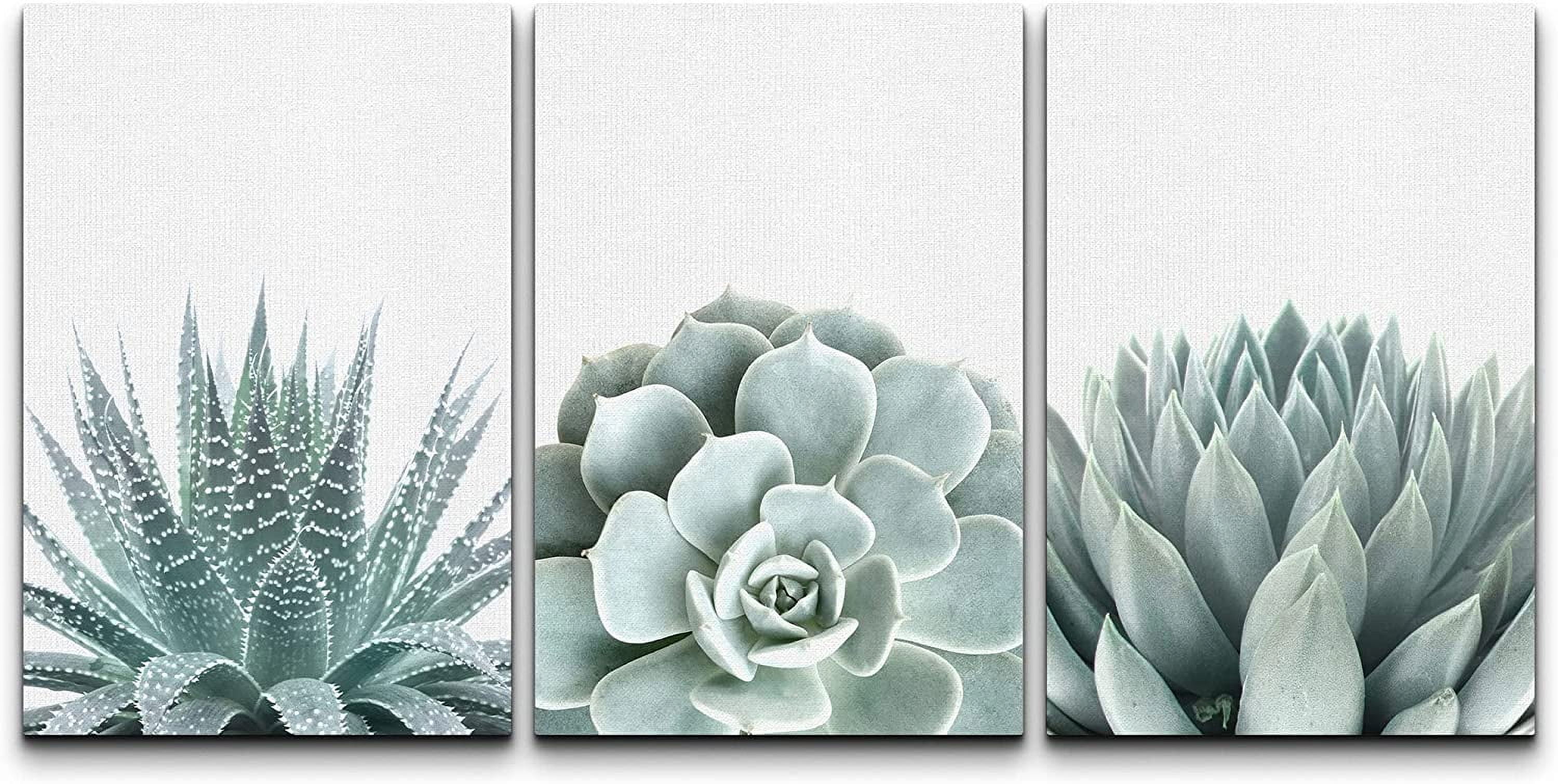 ASPORIC Wall Art Print Set Green Succulent and Cactus Variety ...