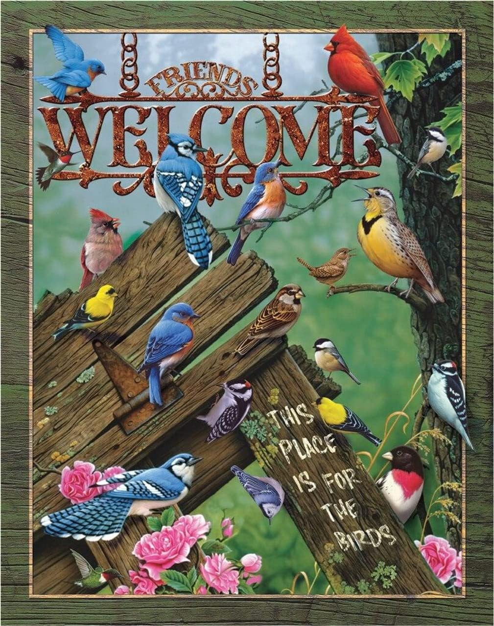 ASPORIC Welcome - This Place is for The Birds Tin Sign - Nostalgic ...