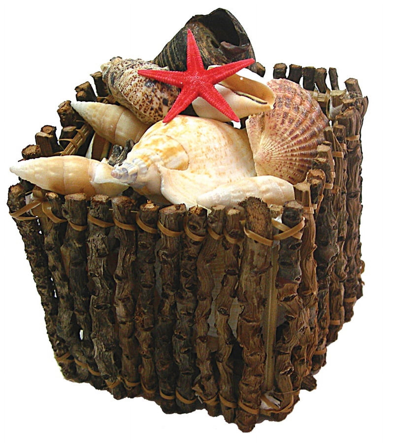 ASSORTED SHELL CRATE 15 SHELLS - Walmart Business Supplies