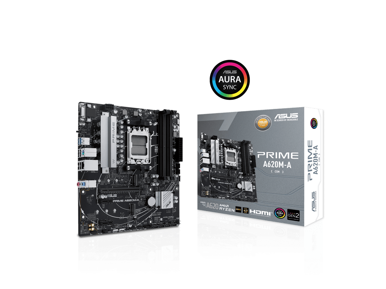 ASUS PRIME A620M-A-CSM AMD AM5(Ryzen 7000) mATX commercial motherboard ...