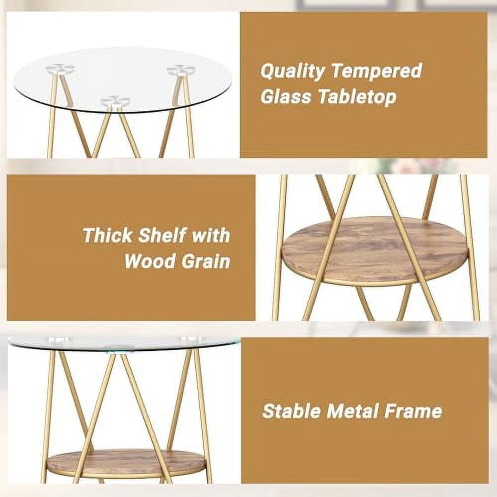 ASYA Glass Side Table for Living Room, 2-Tier Gold End Table with Tempered Glass & Metal Frame ...
