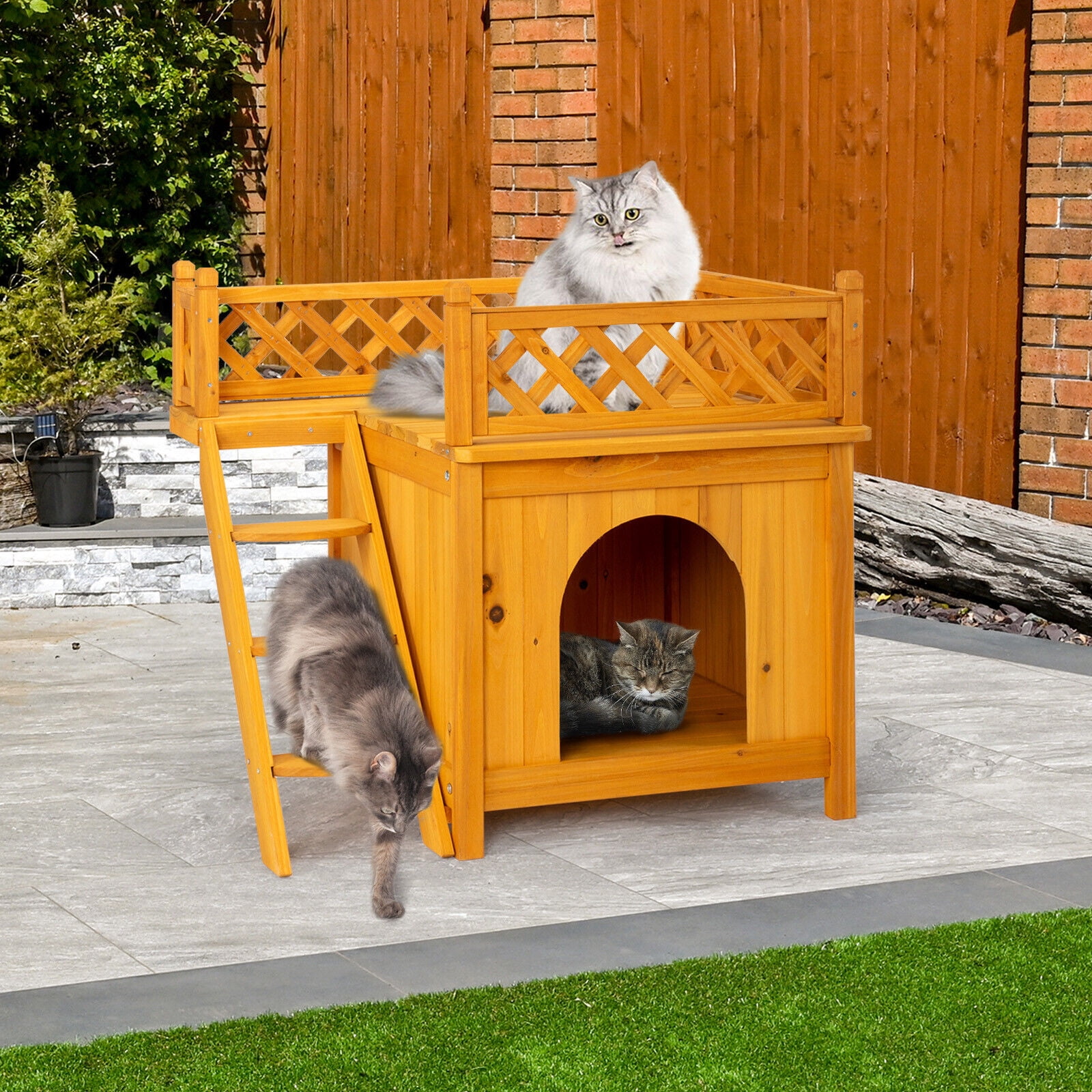 ASpecialty 2-Story Yellow Fir Wood Feral Cat House: Spacious, Eco ...