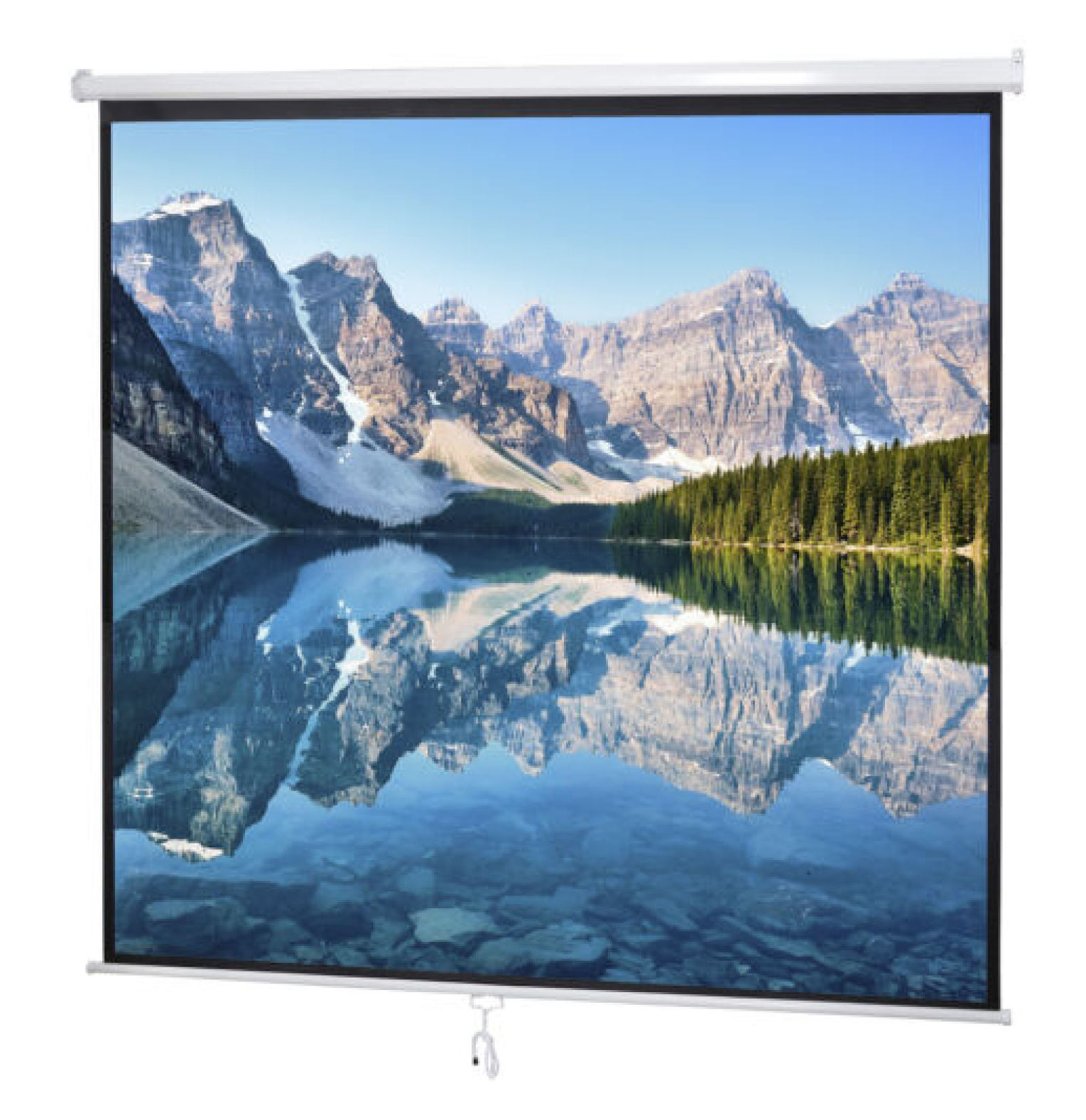 ASpecialty Projector Screen Manual Pull Down Projection Screen for Home ...