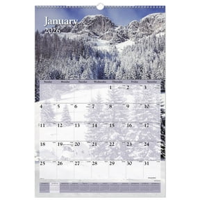 AT-A-GLANCE 2026 Yearly Wall Calendar Extra Large 24 x 36 - Wall ...