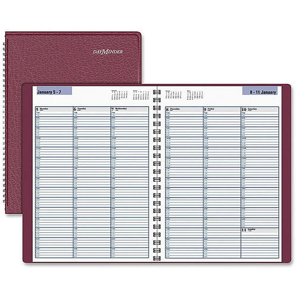 AT-A-GLANCE DayMinder Professional Weekly Appointment Books - Walmart.com