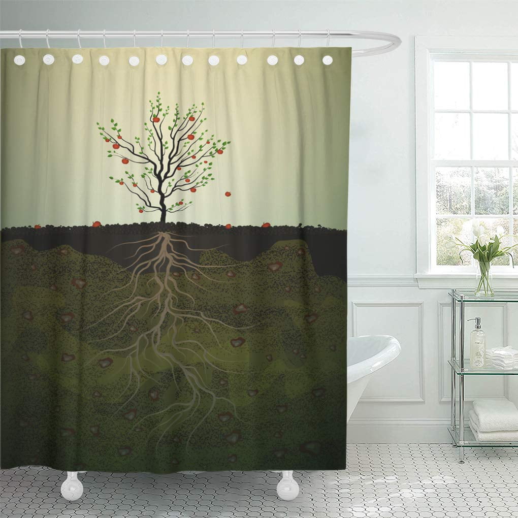 ATABIE Black Underground Fruit Tree Strong Root in Soil Red Shower ...