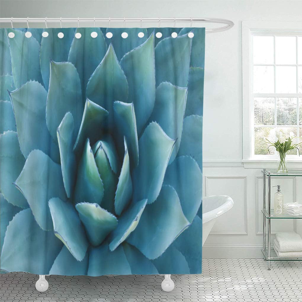 ATABIE Flower Blue Agave Desert Plants Turquoise Pretty Beautiful ...