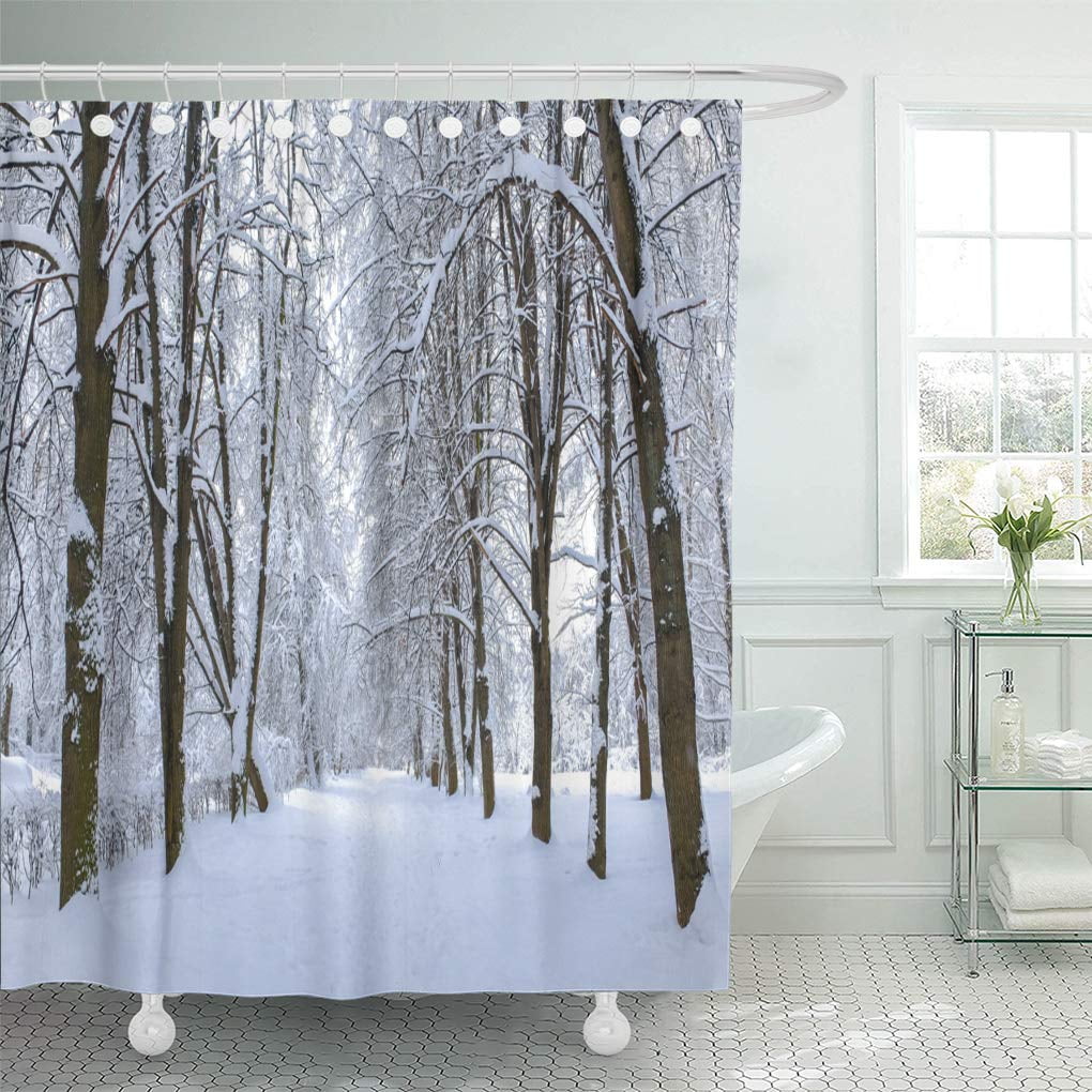 ATABIE Wildlife Winter Forest Trees in The Snow Backwoods Morning ...