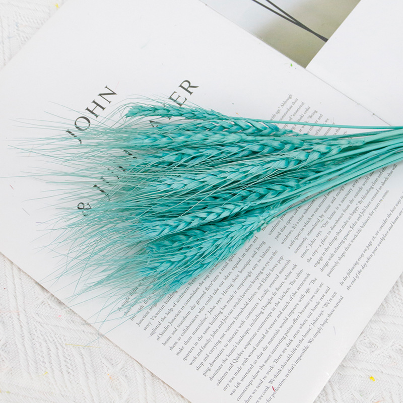 ATJIA 25 Stems 19.69 Inch Dried Wheat Sheaves, Natural Wheat Stalks ...