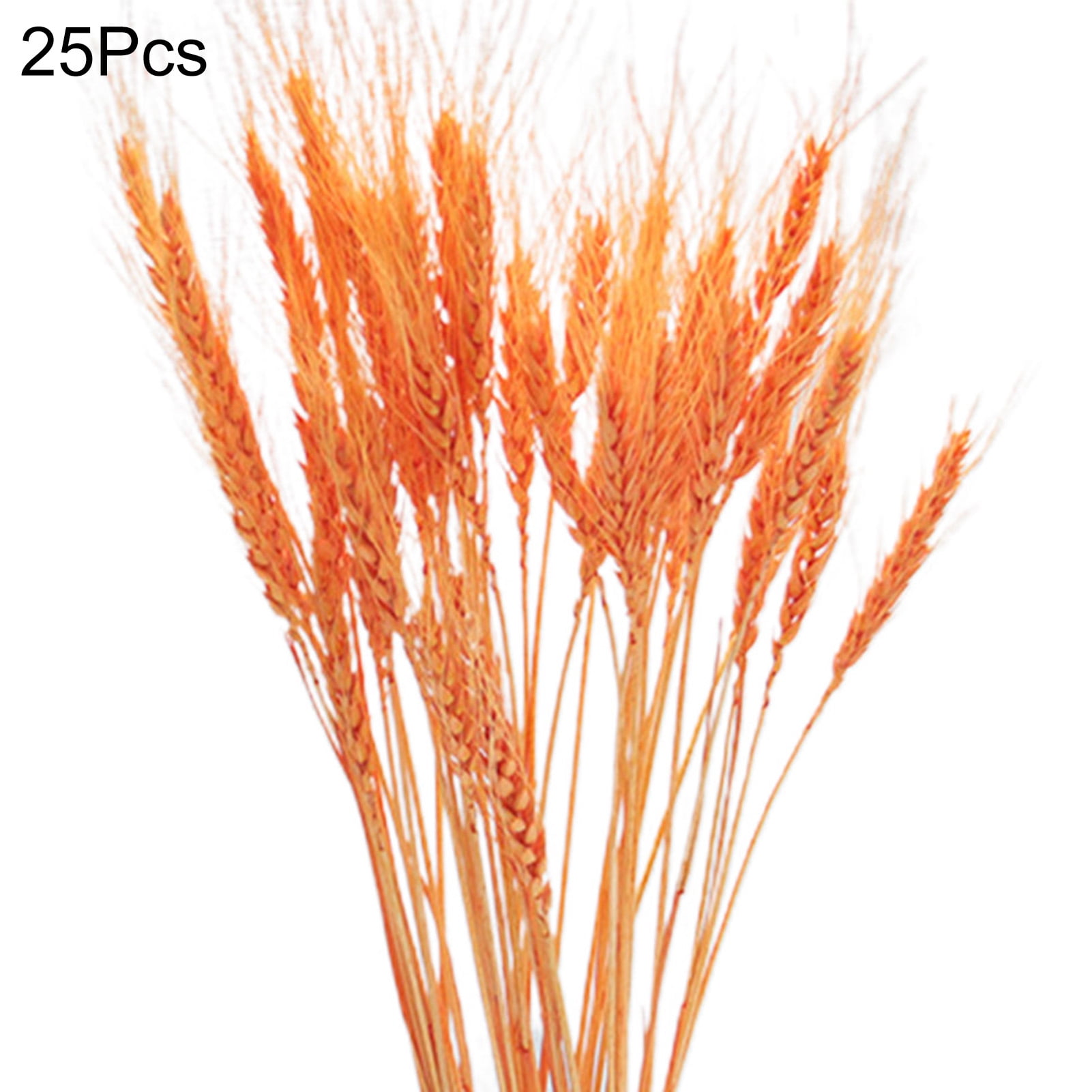 ATJIA 25 Stems 19.69 Inch Dried Wheat Sheaves, Natural Wheat Stalks ...