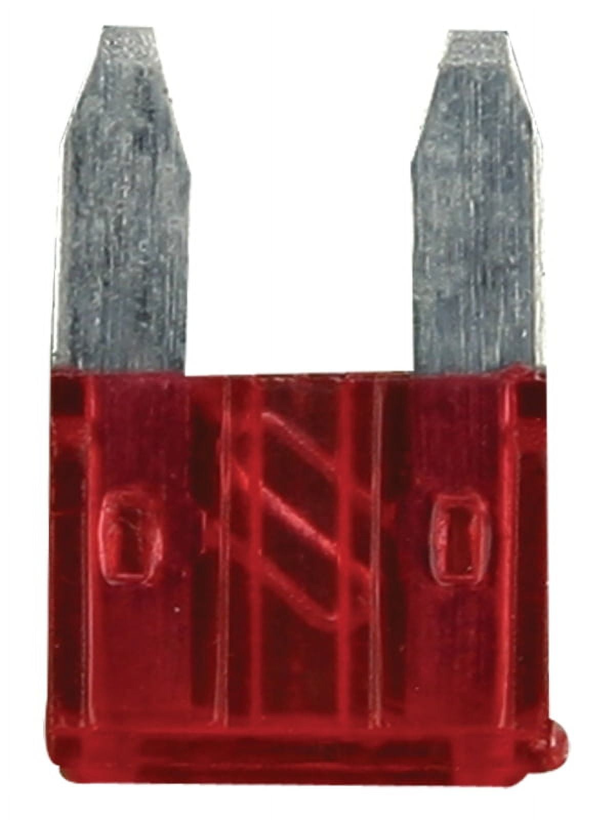 ATM Fuses 10 AMP - Package of 25 - Walmart.com