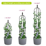 Climbing Vine Rose Climbing Vine Frame Rose Iron Wire Lotu Bracket X3R6 ...