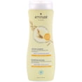 ATTITUDE Natural Shampoo Repair Color Protection Argan Oil 16 fl oz 473 ...