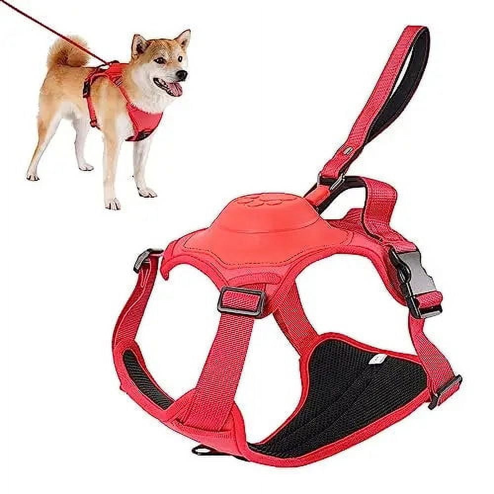 ATUBAN Dog Harness&Retractable Dog Leash All in One,Retractable Hands ...