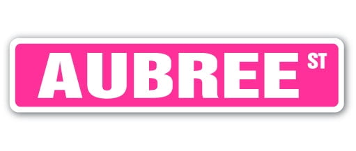 AUBREE Street Sign Childrens Name Room Sign | Indoor/Outdoor | 36" Wide ...