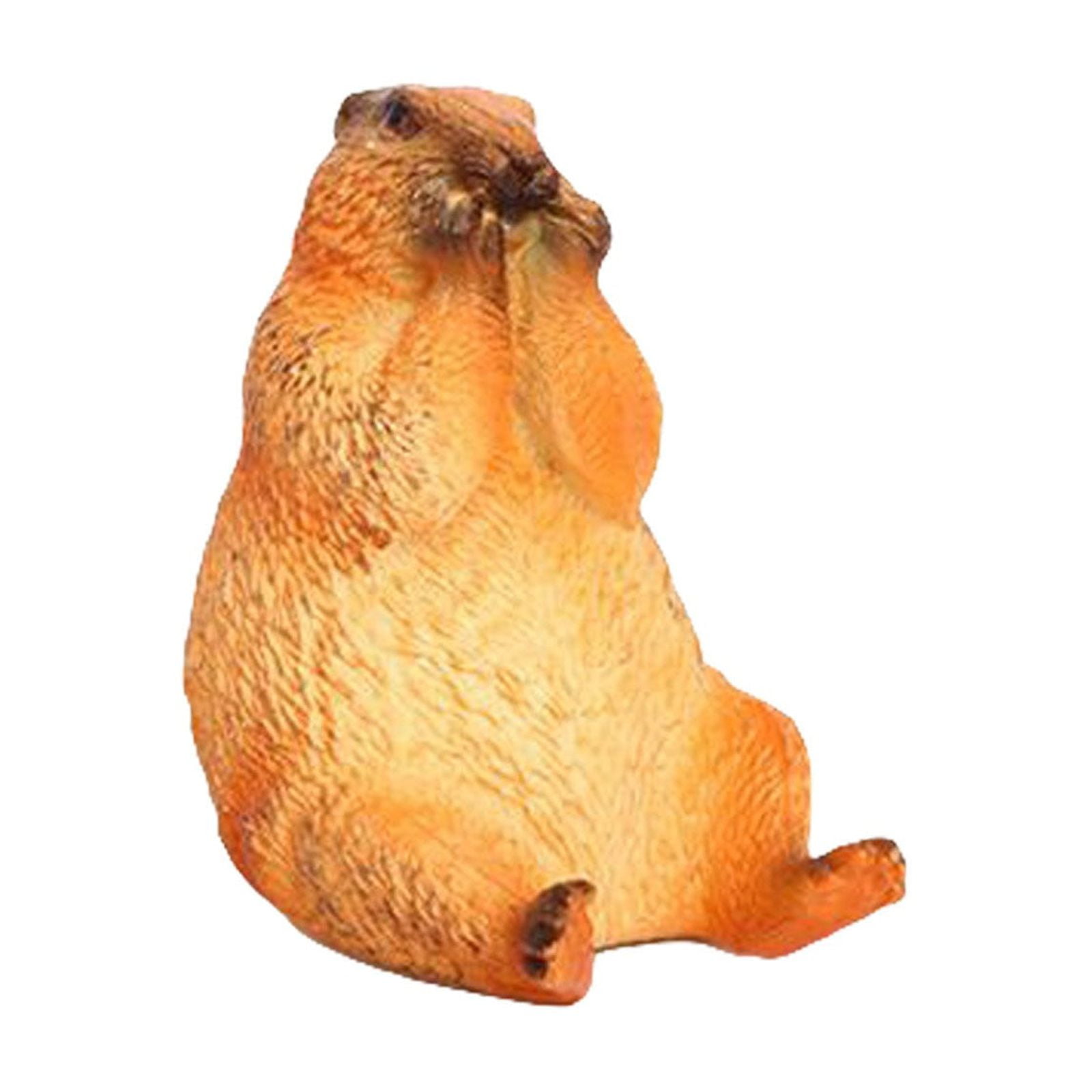 AUDeals Animal Anatomy Kit Groundhog Diorama | Biologically Accurate ...