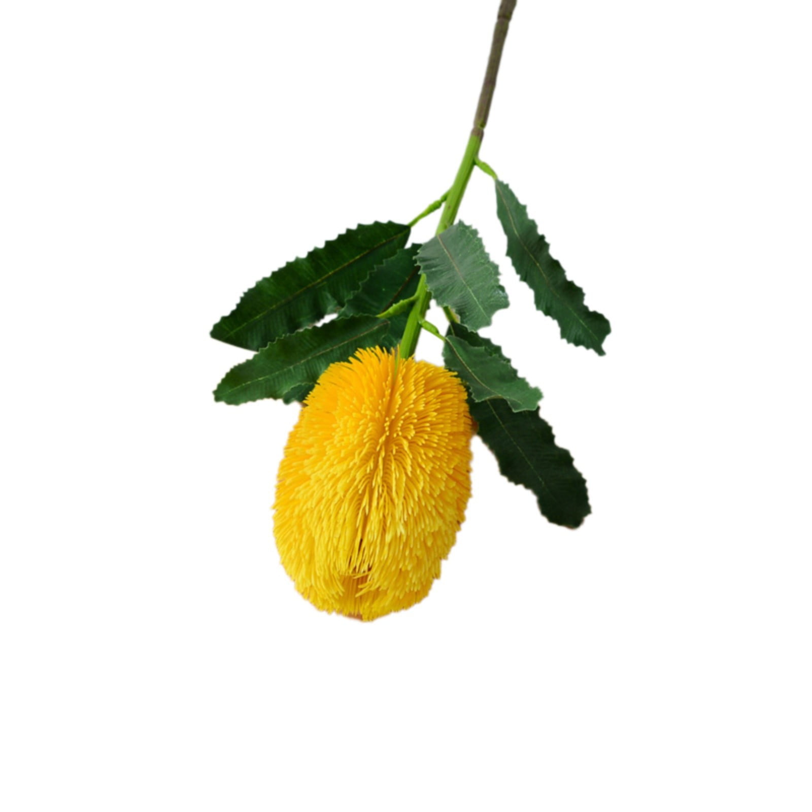 AUDeals Artificial Banksia Flower Plastic Decorative Flower Beautiful ...