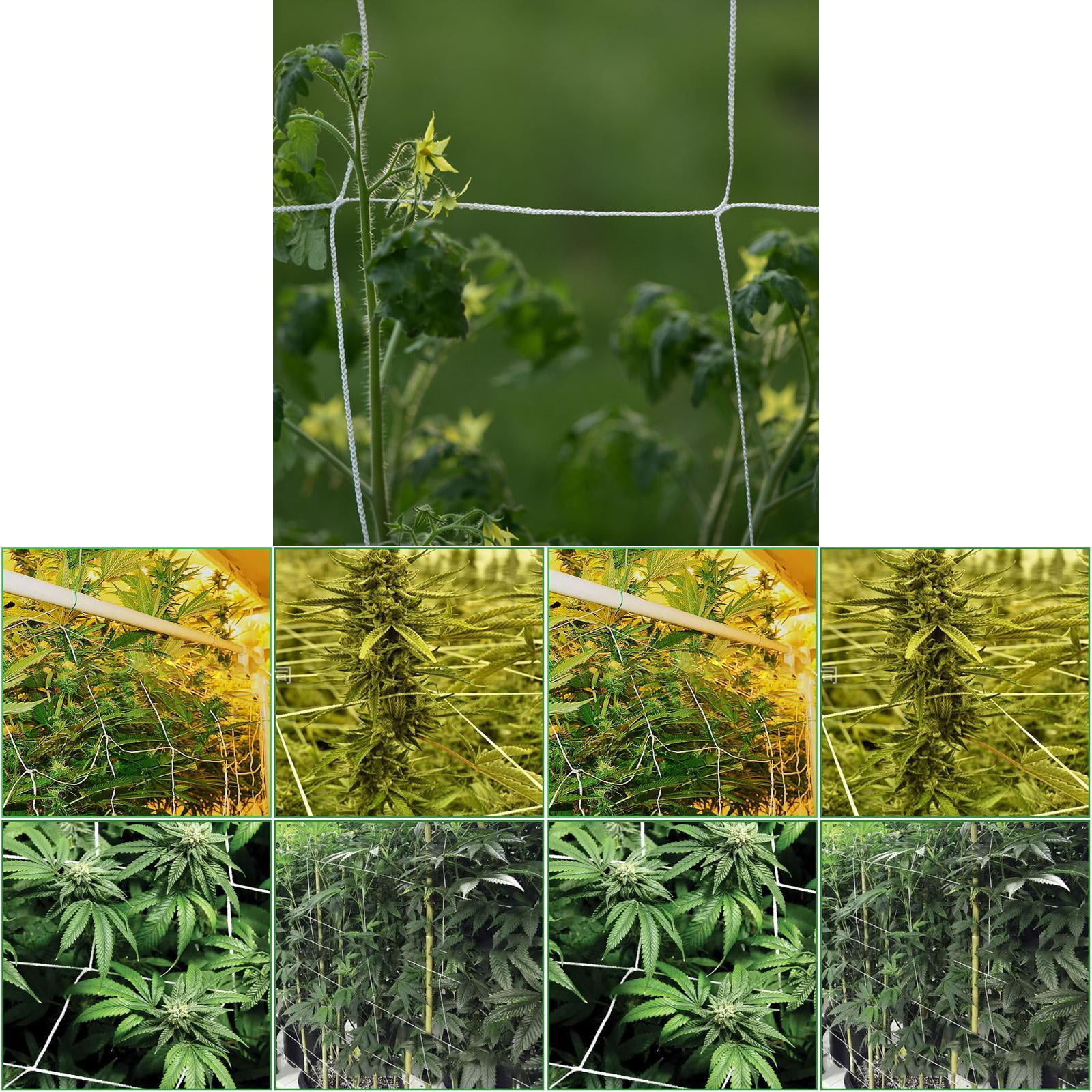 AUDeals Garden Netting Heavy Duty Net Nylon Netting Garden Climbing ...