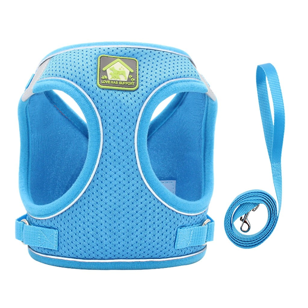 AUHomi Soft Small Dog Harness and Leash Set, Step in Air Mesh Puppy ...