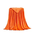 AUQ 2026 New Soft Blanket Versatile Plush Blanket Giftable All Purpose ...