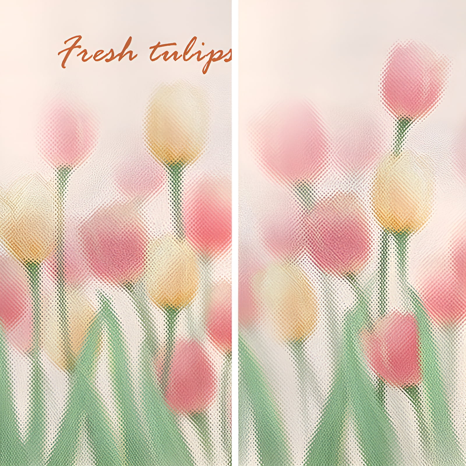 AUQ 2Pcs Privacy Window Film,UV-Blocking Surface Window Frosting Film ...