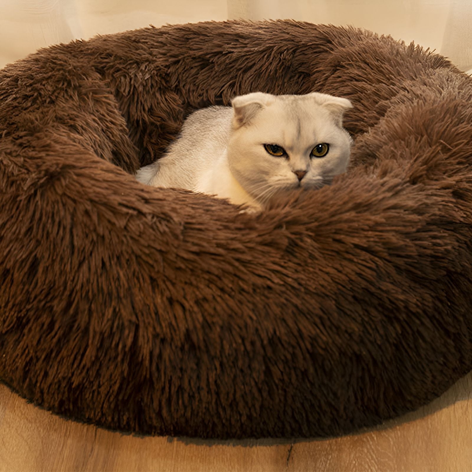 AUQ Cat Bed,19.69*19.69*7.87"Cat Beds & Furniture,Plush Cat Beds for ...