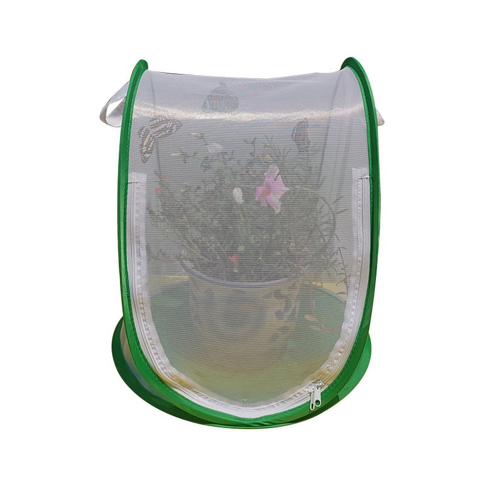 AUQ Insect Mesh Cage,Collapsible Butterfly Kit for Kids,Explore Nature ...