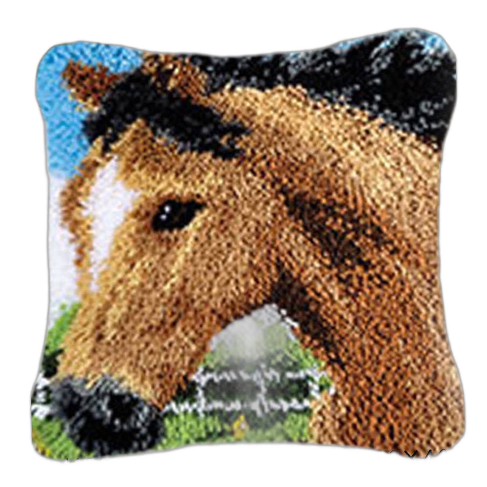 AUQ Latch Hook Kits for Kids Non Fraying Thread with Clear Texture ...