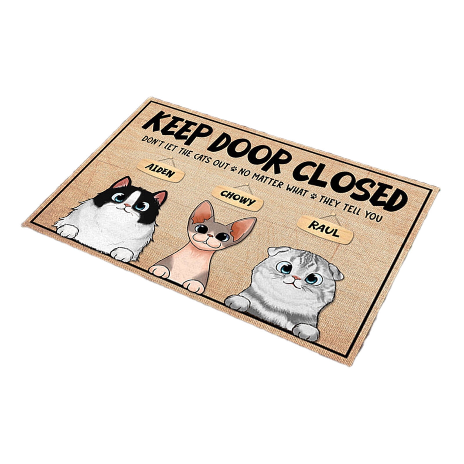 AUQ Outdoor Mat Decorative touch Funny Door Mats Outside Friendly ...