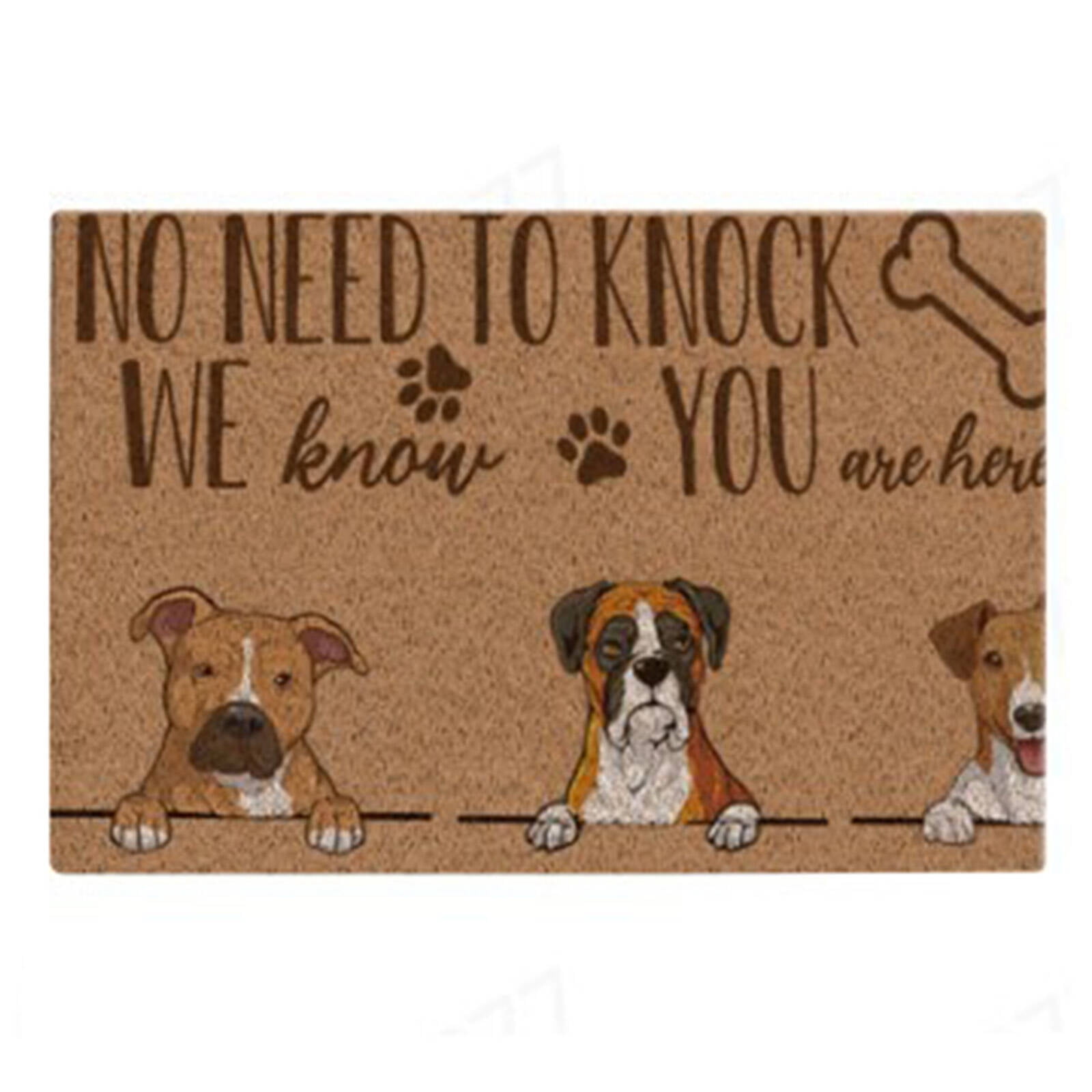 AUQ Outdoor Mat Whimsical Patterns Funny Door Mats Outside Unique Look ...