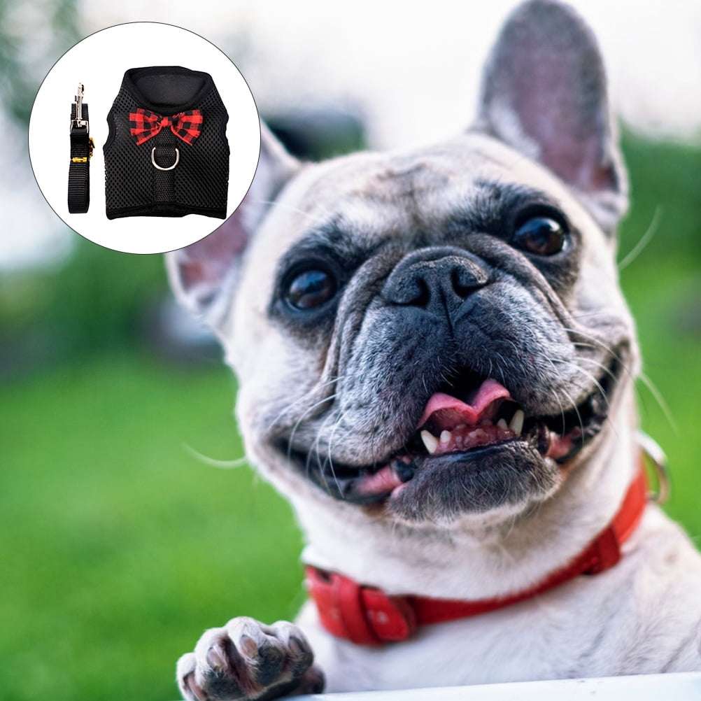 AURARMLET Dog Chest Strap with Breathable Mesh for Outdoor Activities ...