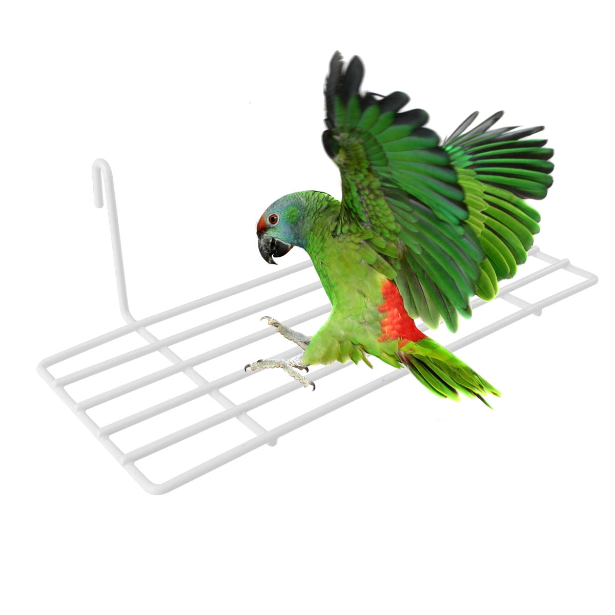 AURARMLET 1-Pack Iron Frame Parrot Perch Shelf with Simple Design for ...