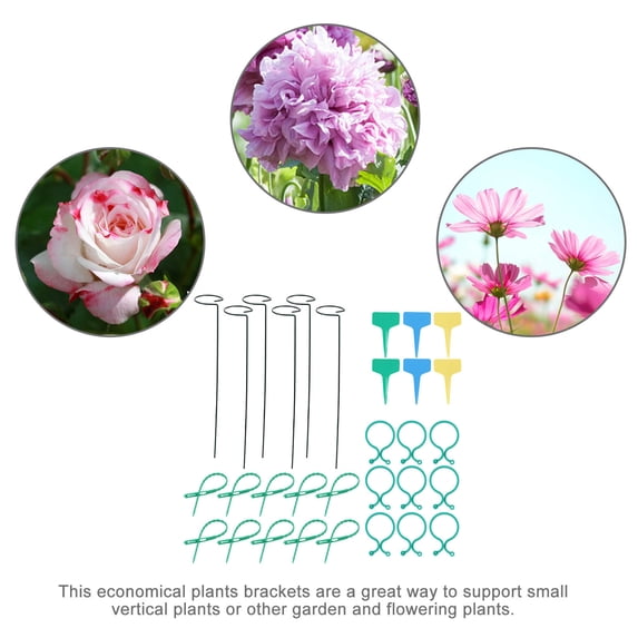 AURARMLET 1Set Potted Plant Support Rod Simple Style Vine Fixing Clip ...