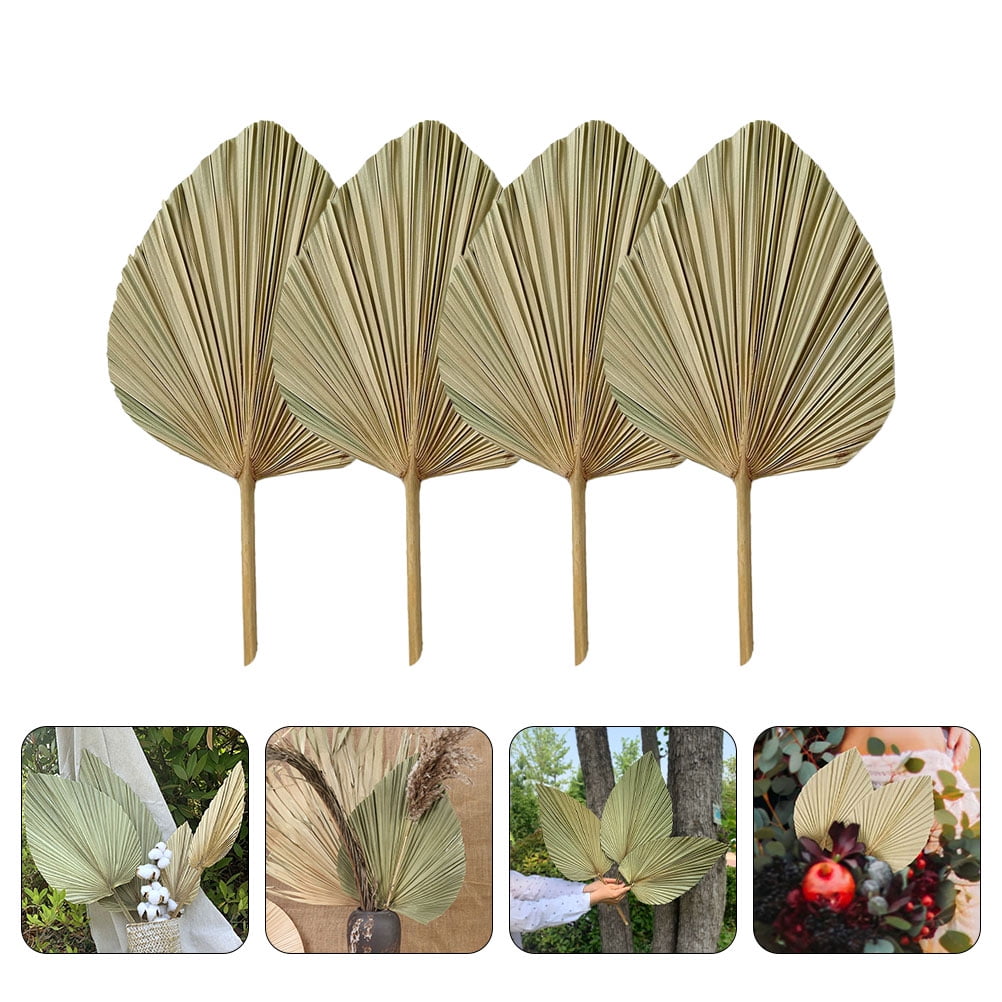 AURARMLET 4Pcs Dried Palm Leaves Boho Wall Decor Light Brown Oval Shape ...