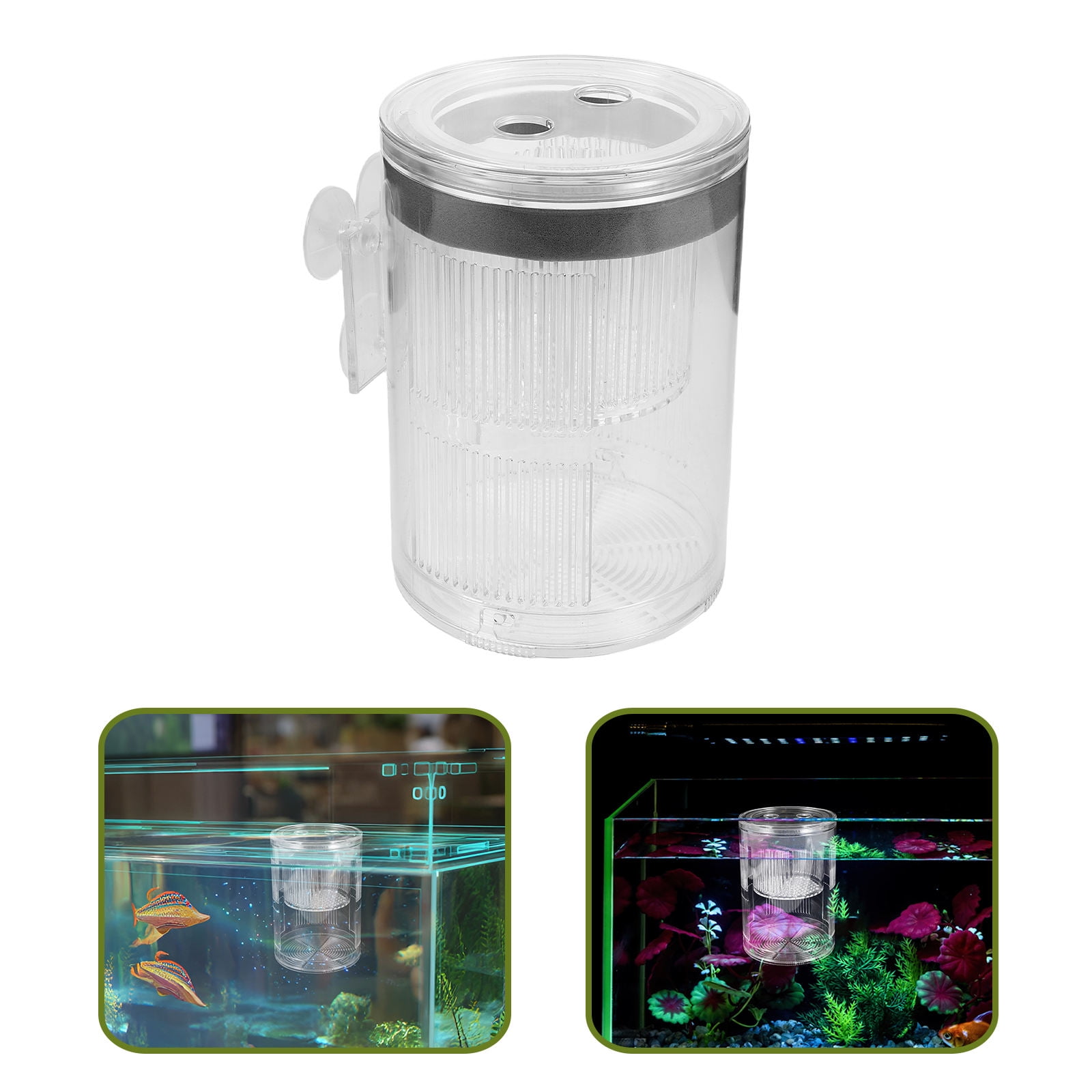 AURARMLET Fish Tank Isolation Box with Floating Structure for Secure ...