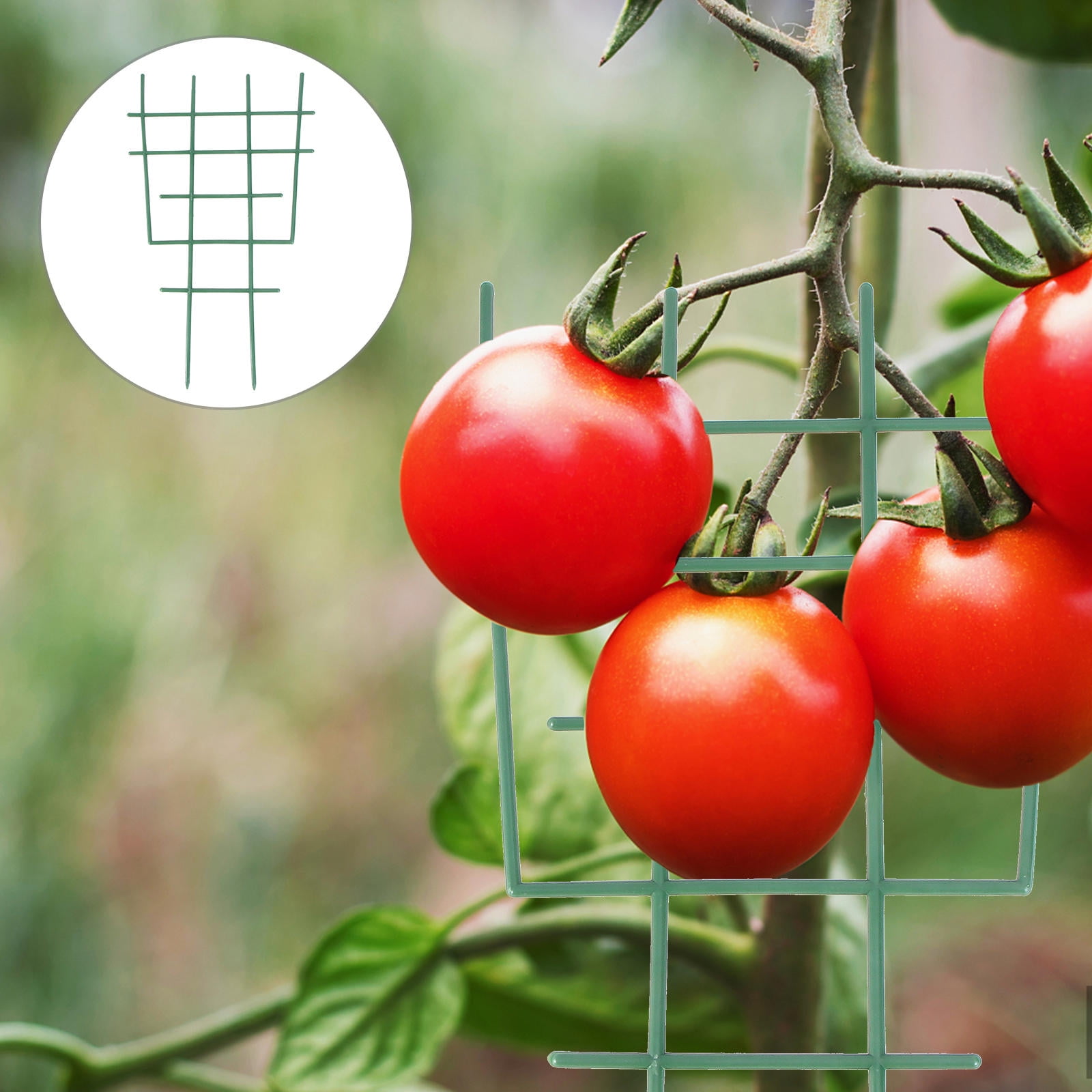 AURARMLET Garden Lattice Brackets 20Pcs Dark Green PP Plastic for ...